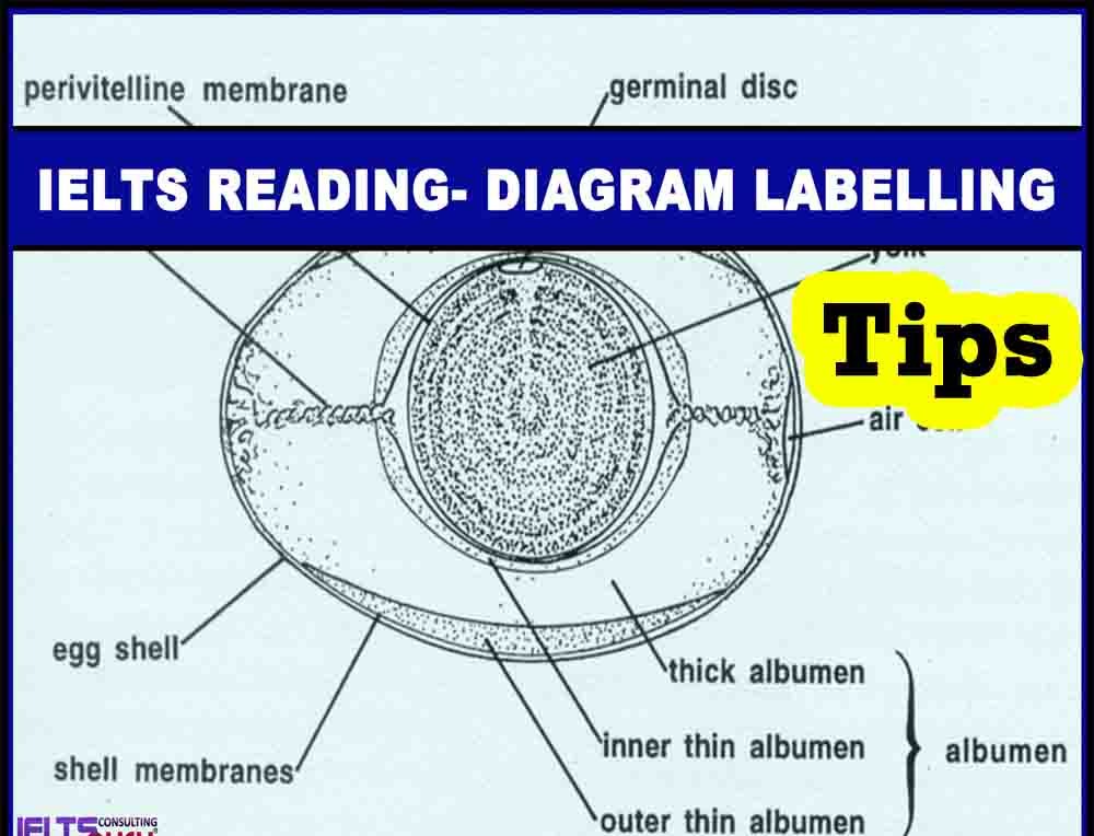 IELTS READING Diagram Label Completion Tips » Career Zone Moga - CZ ...